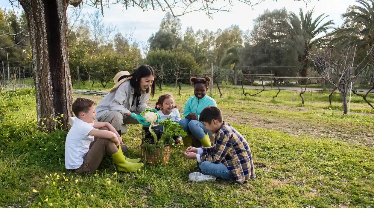 How Crop Diversification Can Strengthen Food Security and Resilience ...